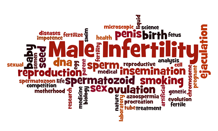 Causes Of Male Infertility Dr Batras